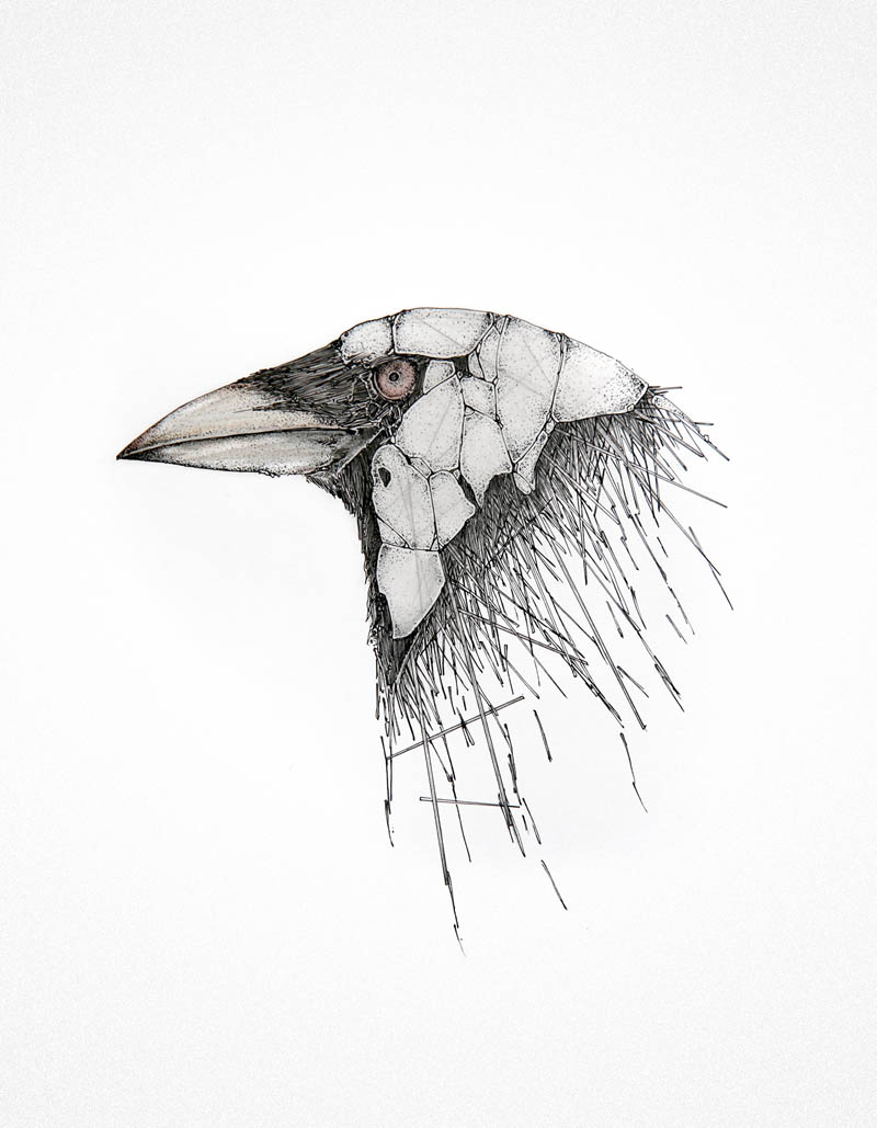 MINIATURE / GRAPHICS – IGOR MIKODA