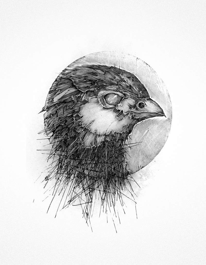MINIATURE / GRAPHICS – IGOR MIKODA